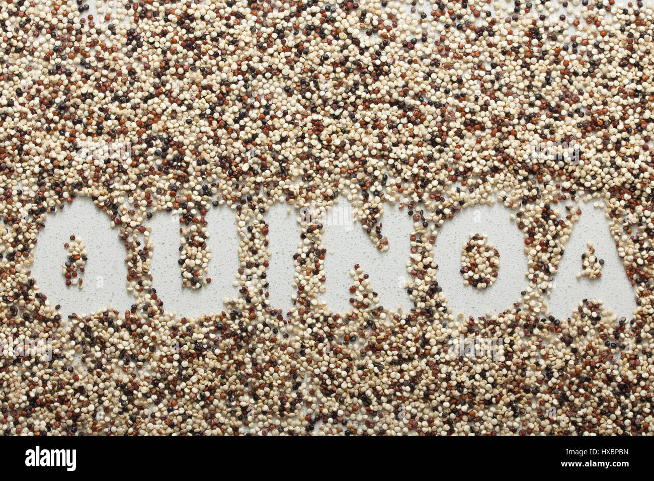 Organic Quinoa Chenopodium quinoa grains nutritious food grain from ...