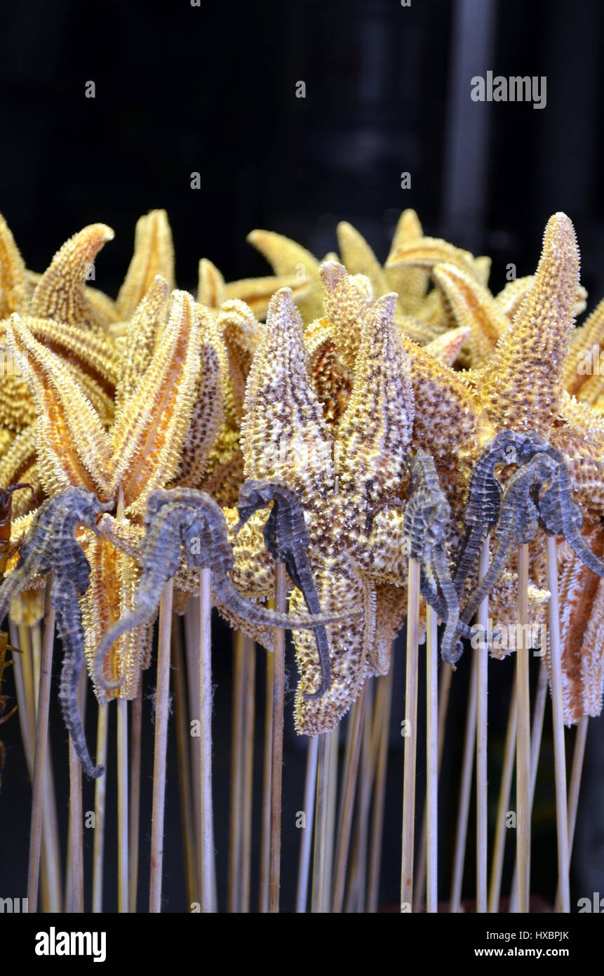 Fried Seahorse High Resolution Stock Photography and Images - Alamy