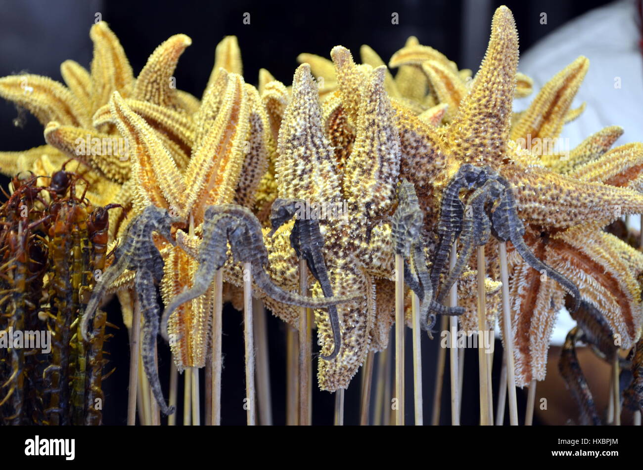 Fried Seahorse High Resolution Stock Photography and Images - Alamy