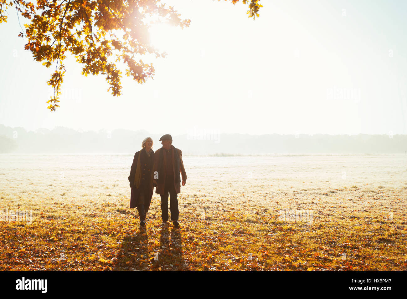 Silhouette Senior Couple Holding Hands Walking In Sunny Autumn Park