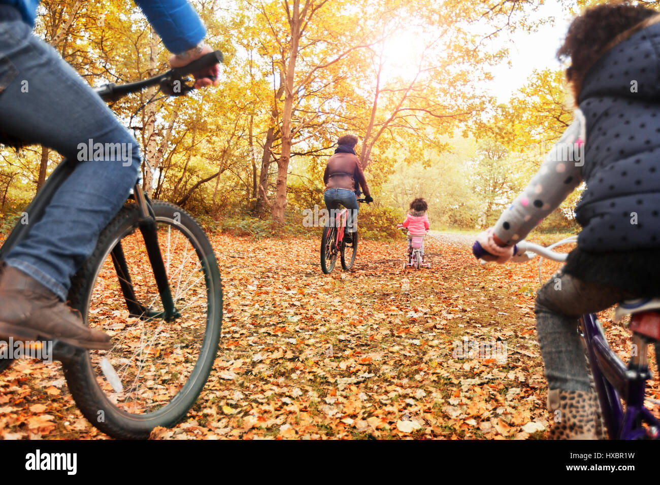 Family riding in woods hi-res stock photography and images - Alamy