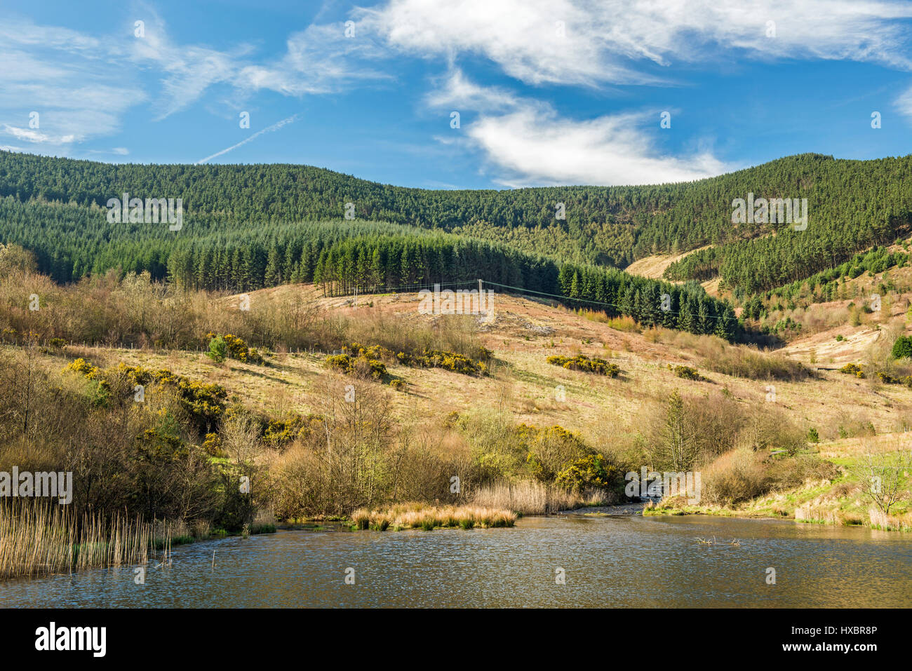 The top of the Garw Valley at Blaengarw in south Wales on a sunny ...