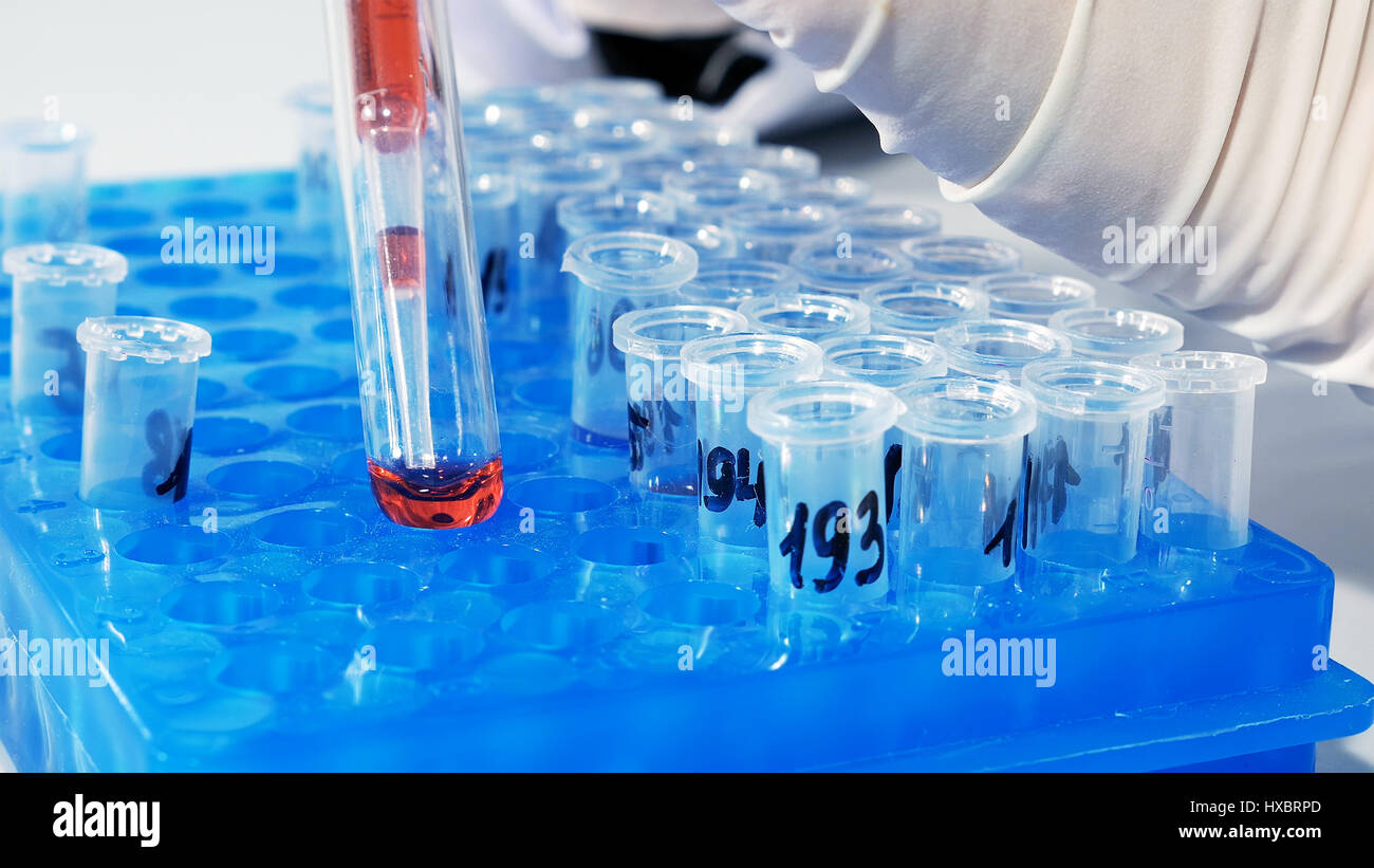 Lab technician scientist makes chemical analysis Stock Photo - Alamy