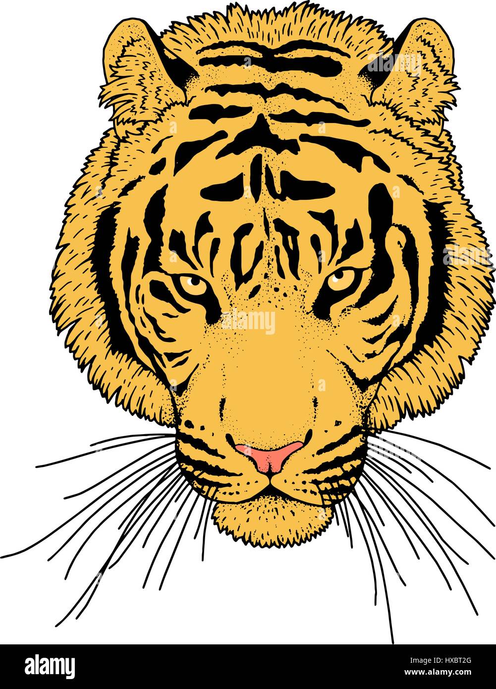 Tiger Head Illustration Vector Stock Vector Image & Art - Alamy