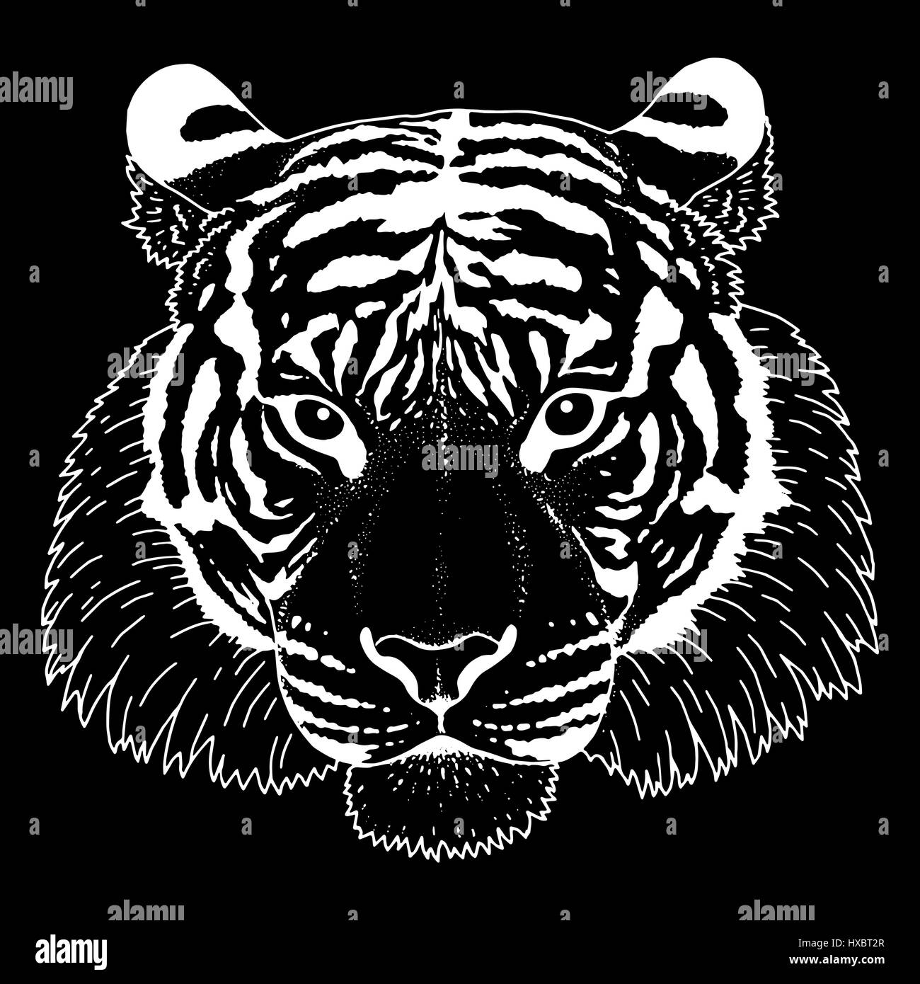 Tiger Head Illustration Vector Stock Vector Image & Art - Alamy