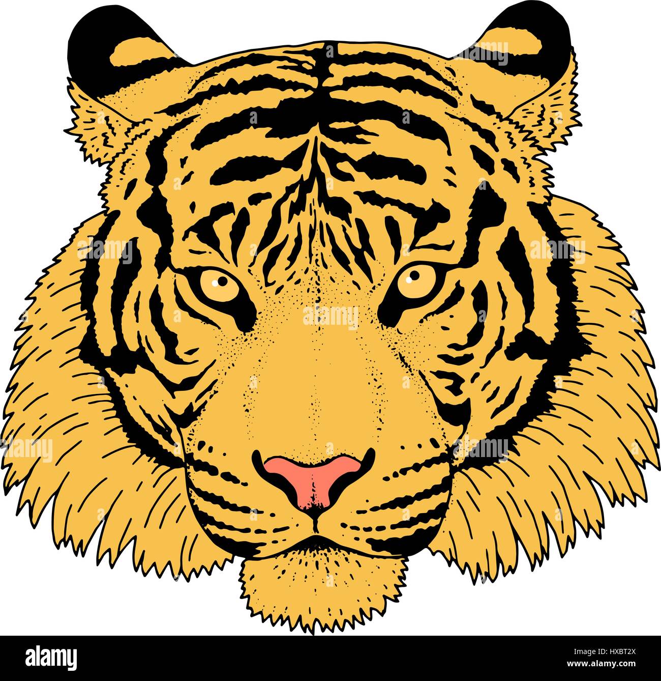 Tiger Head Illustration Vector Stock Vector Image & Art - Alamy