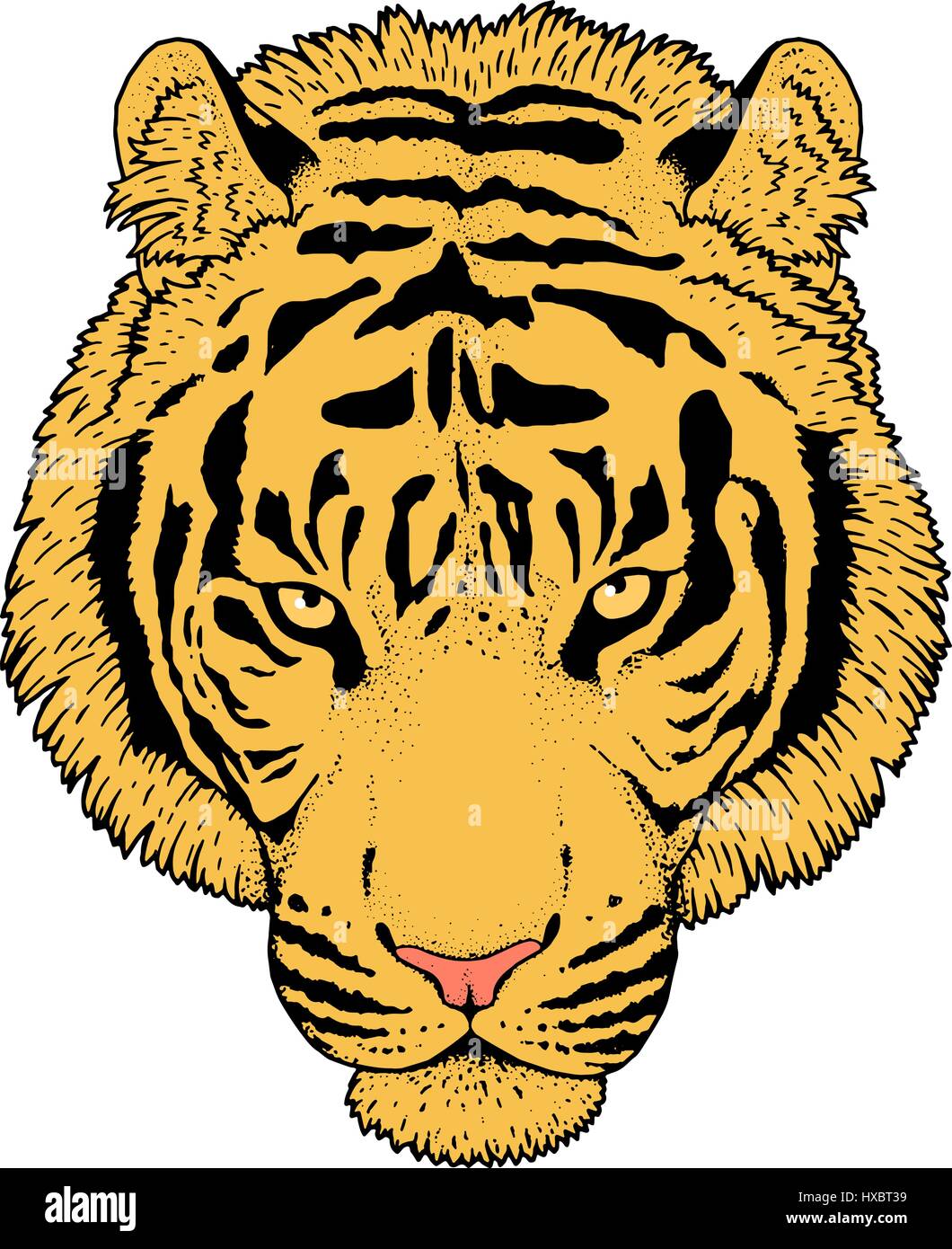 Tiger Head Illustration Vector Stock Vector Image & Art - Alamy