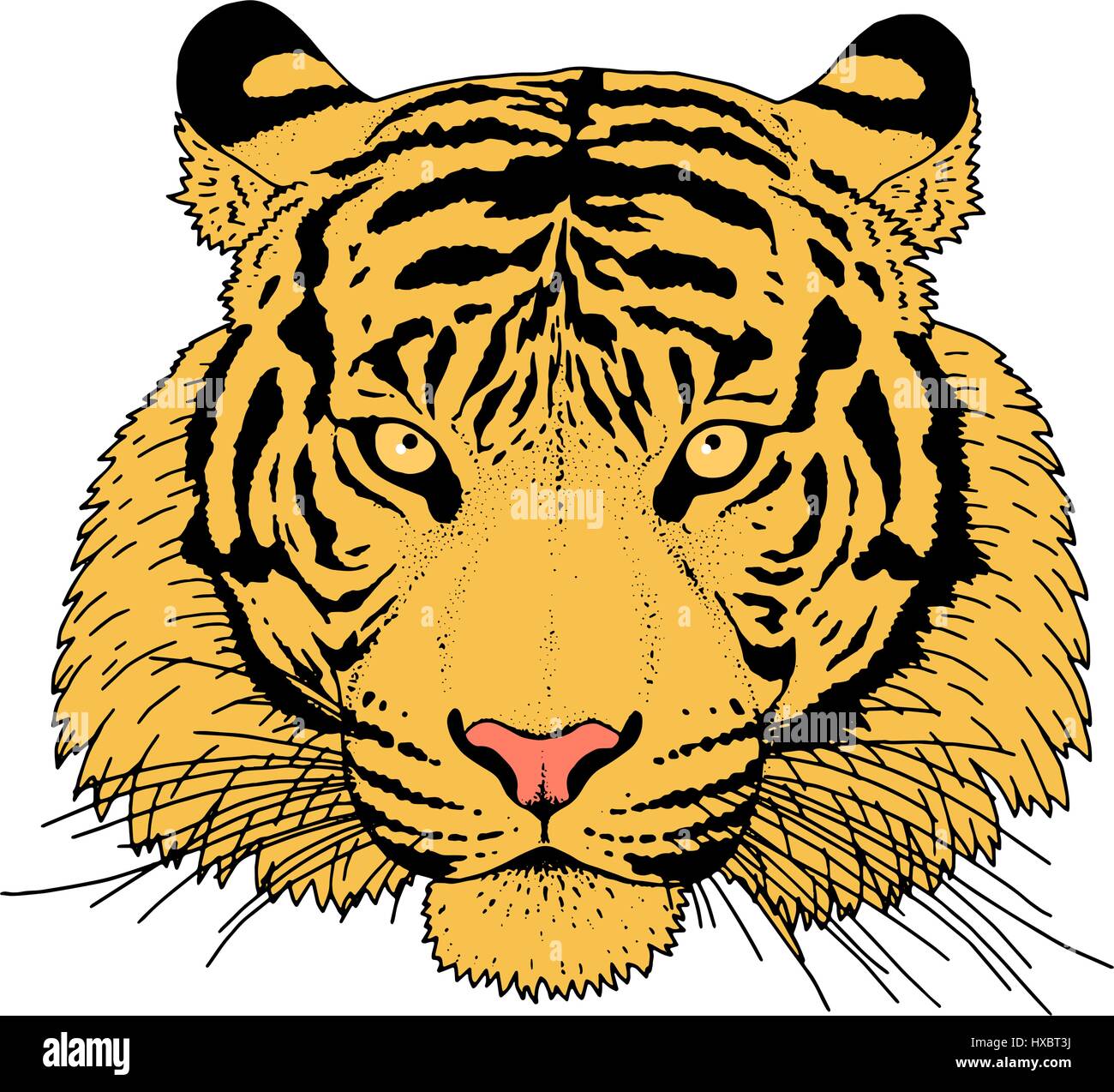 Tiger Head Illustration Vector Stock Vector Image & Art - Alamy