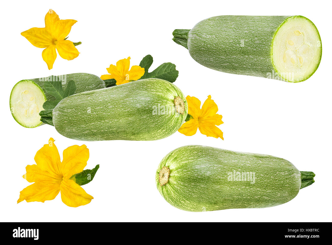 Fresh vegetable marrow isolated on white background Stock Photo - Alamy