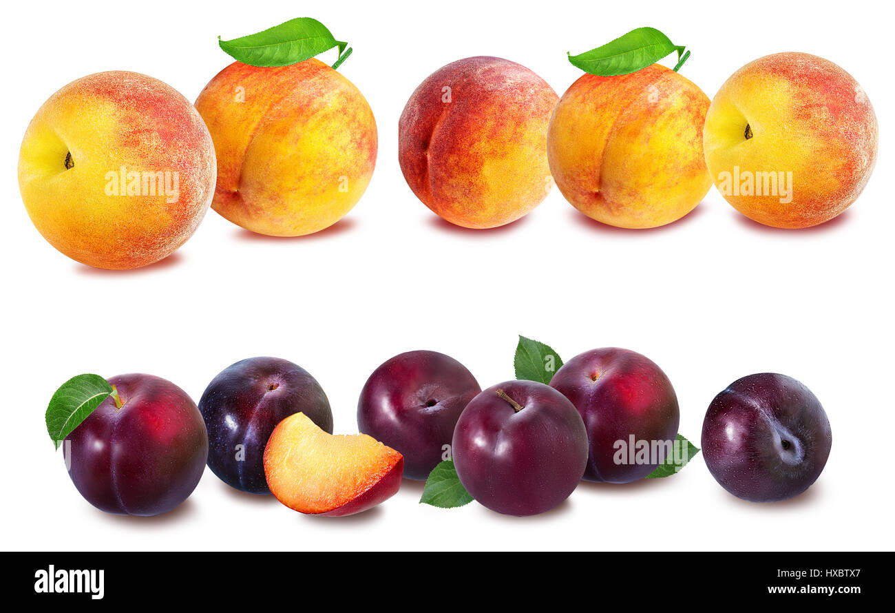 plum and apricot on a white background Stock Photo - Alamy
