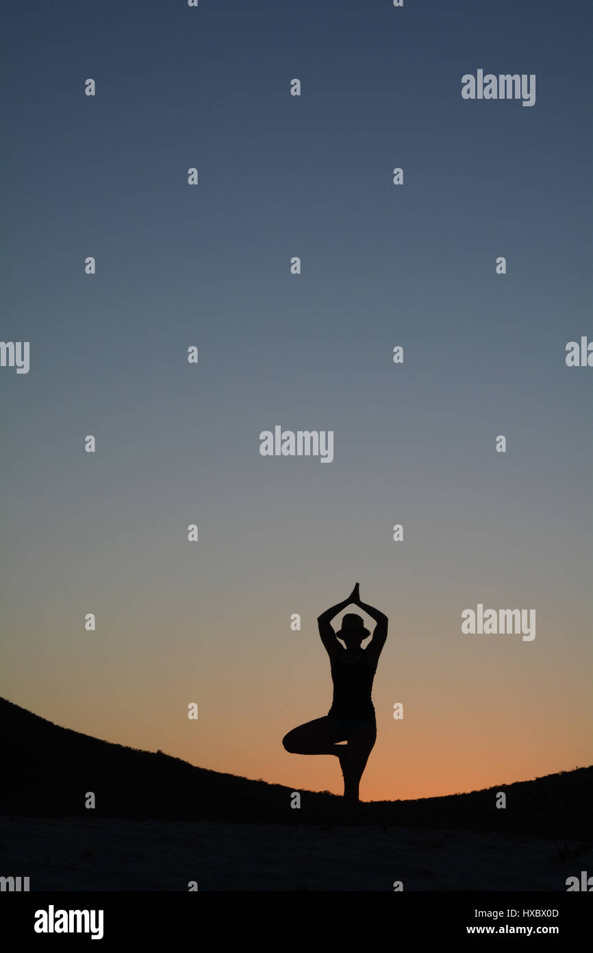 Zen tree silhouette hi-res stock photography and images - Alamy