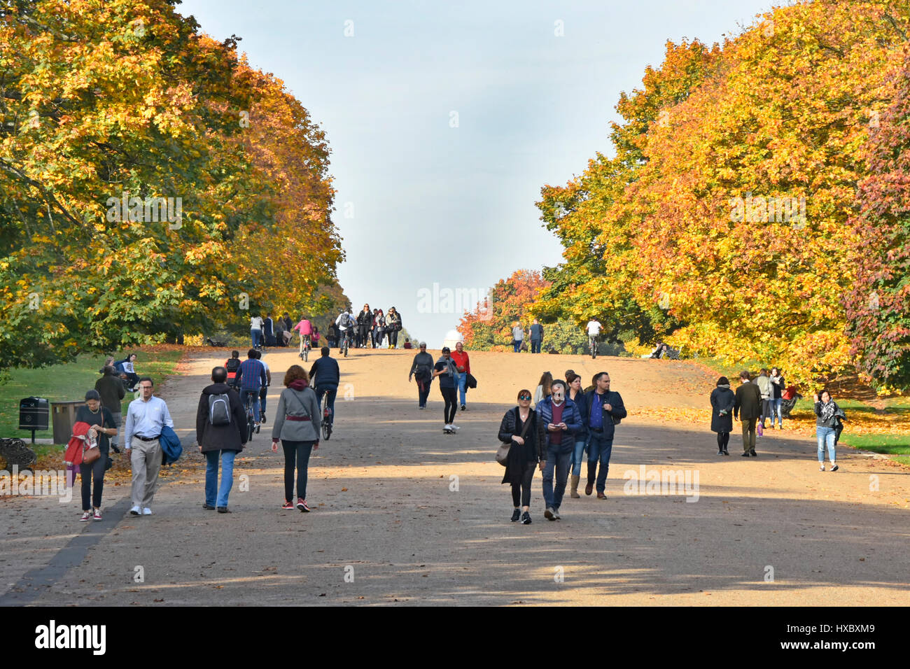 London park autumn in Kensington Gardens The Broad Walk flanked by ...