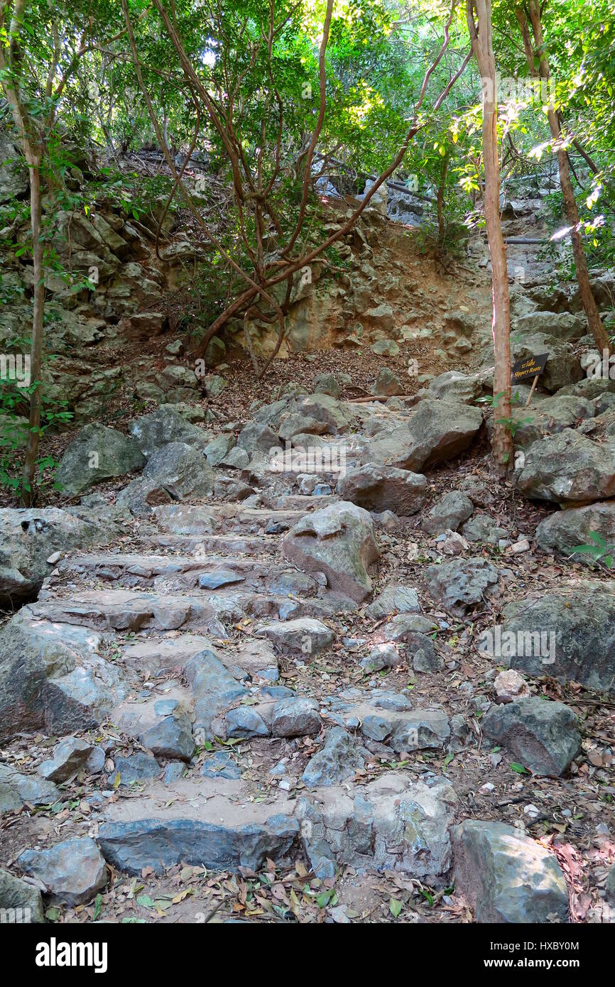 nice footpath through the jungle in Thailand Stock Photo - Alamy