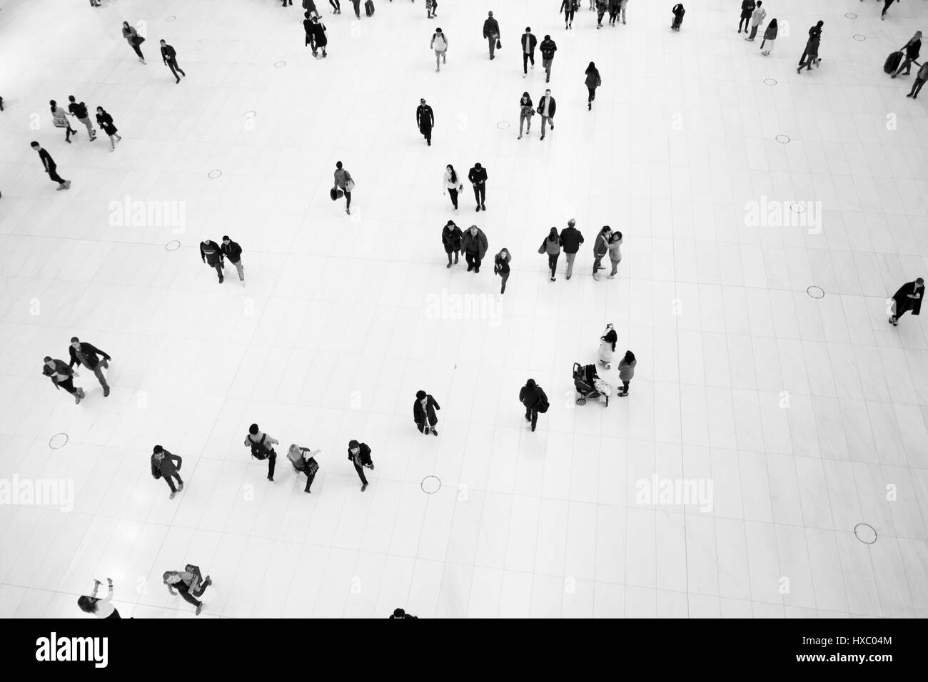 People Birds Eye View