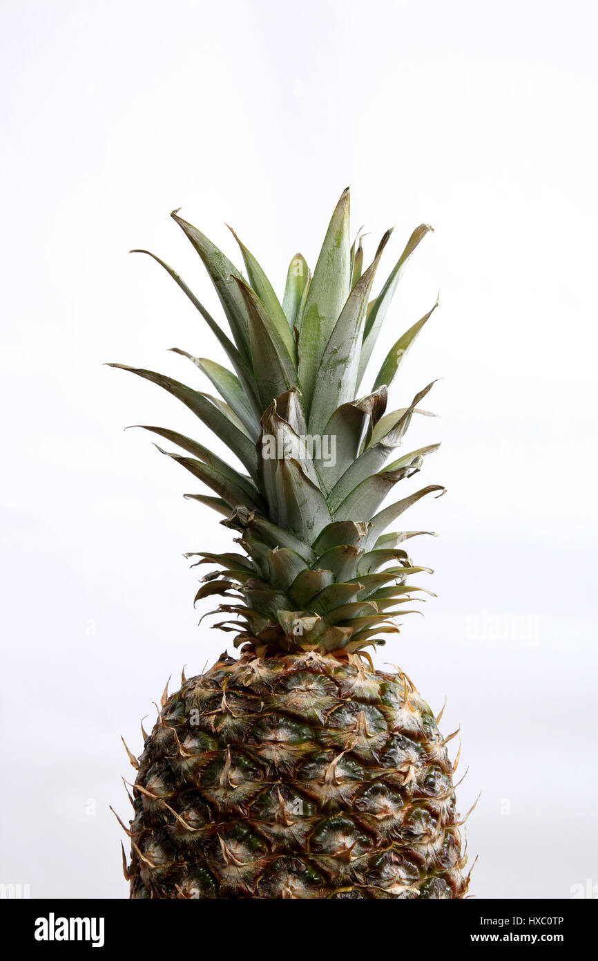 1228 9512 hi-res stock photography and images - Alamy