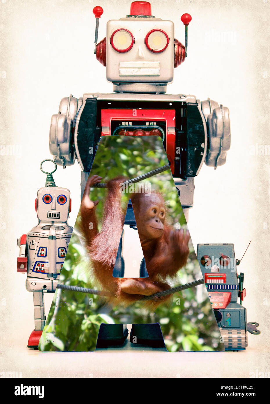 Ape alphabet hi-res stock photography and images - Alamy