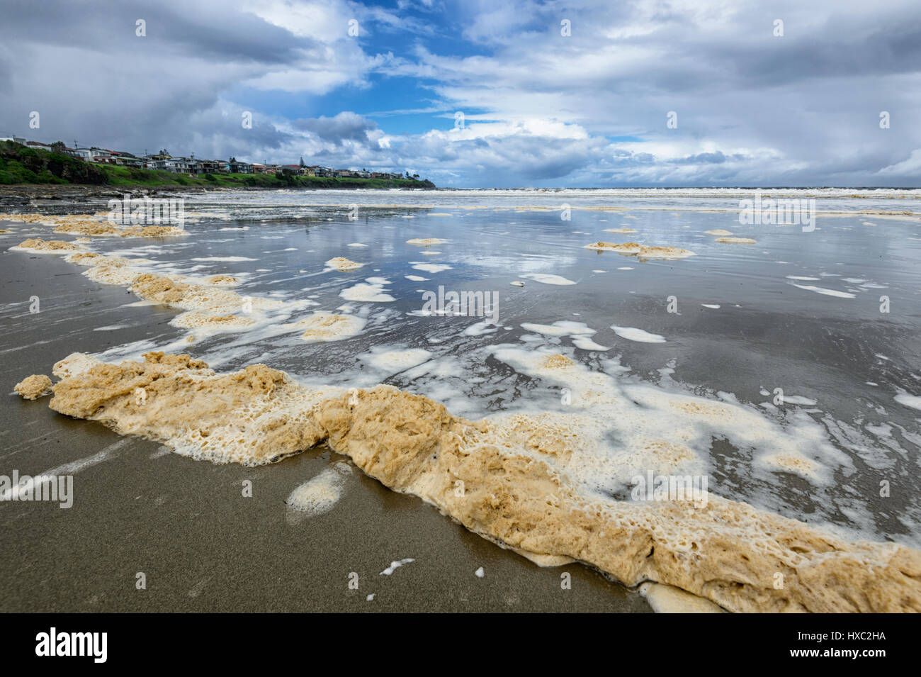 Sea Foam on the beach after a storm, Seven Mile Beach, Gerroa ...