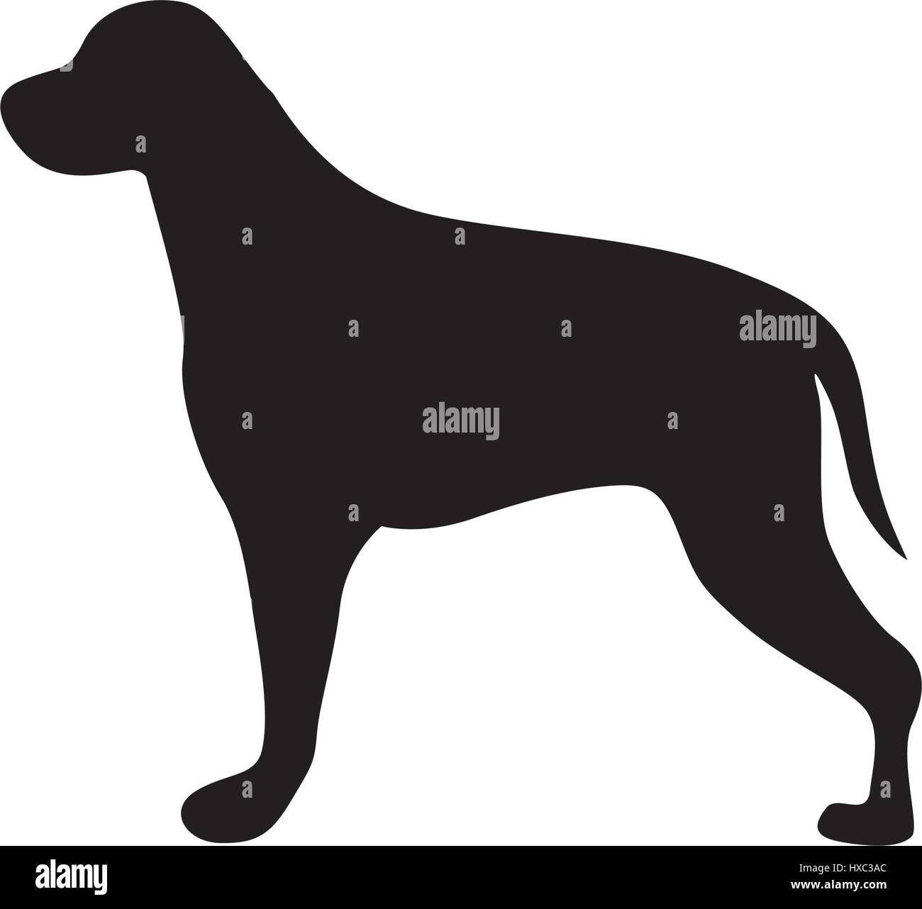Black Dog Drawing High Resolution Stock Photography and Images - Alamy