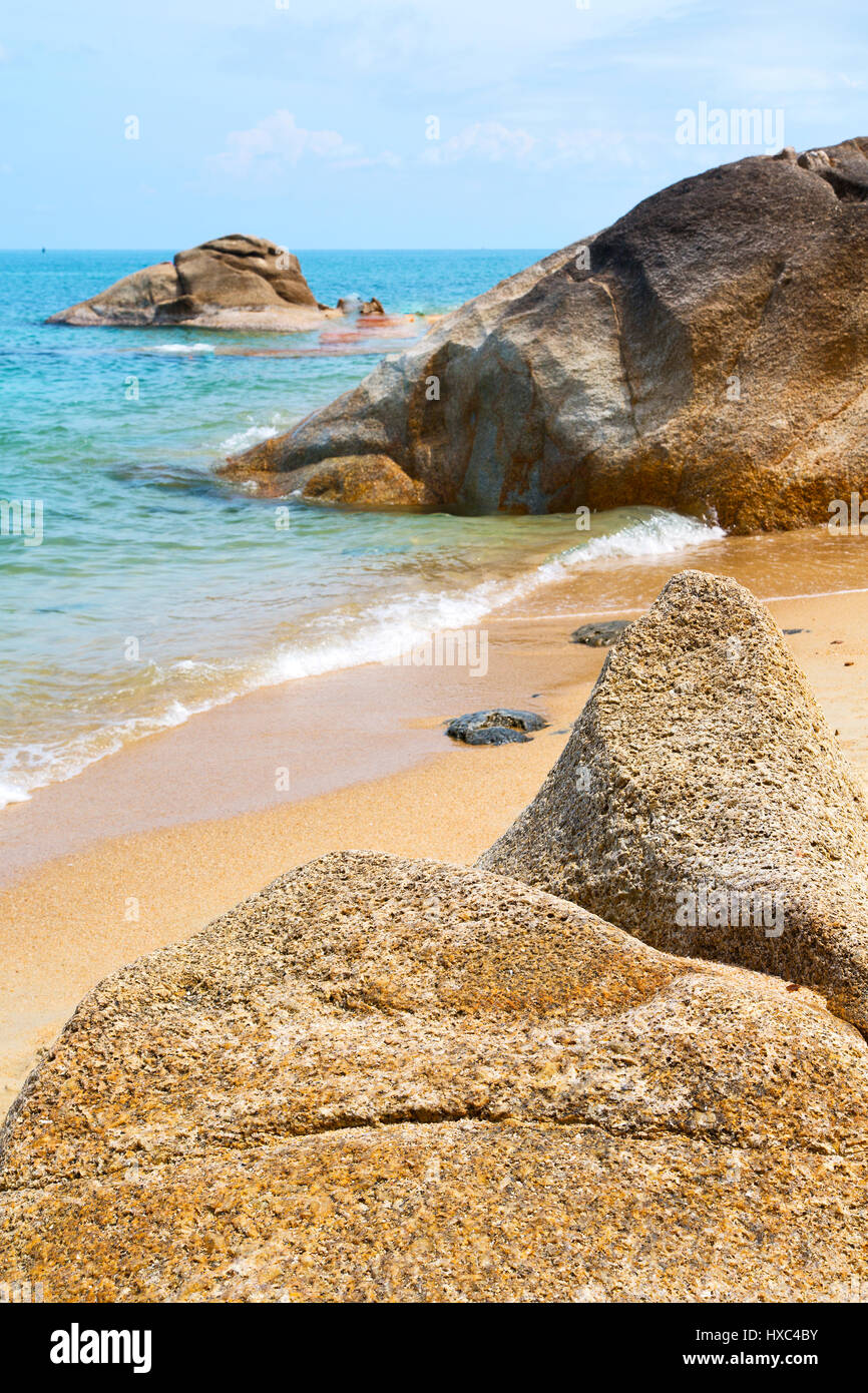 kho samui bay asia isle white beach tree rocks in thailand and south ...