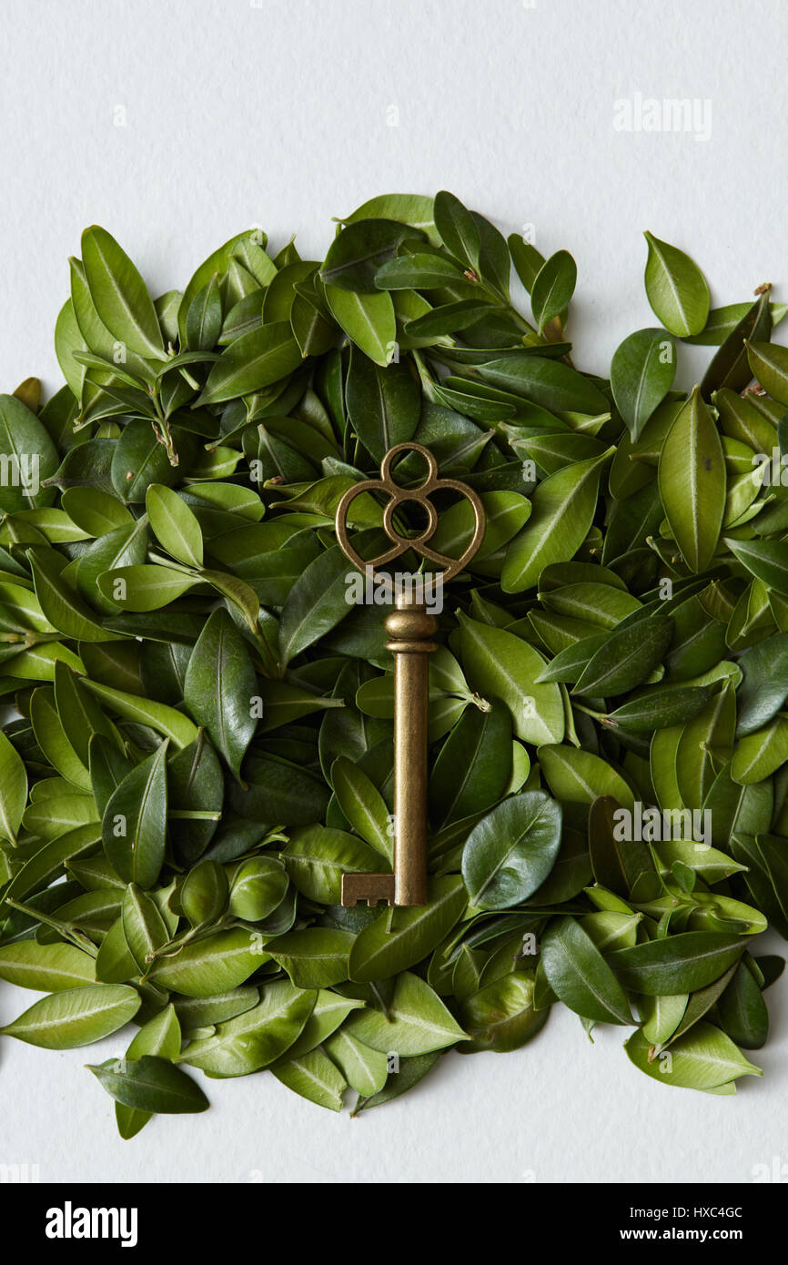 Destination concept. Vintage golden key represented in middle among ...