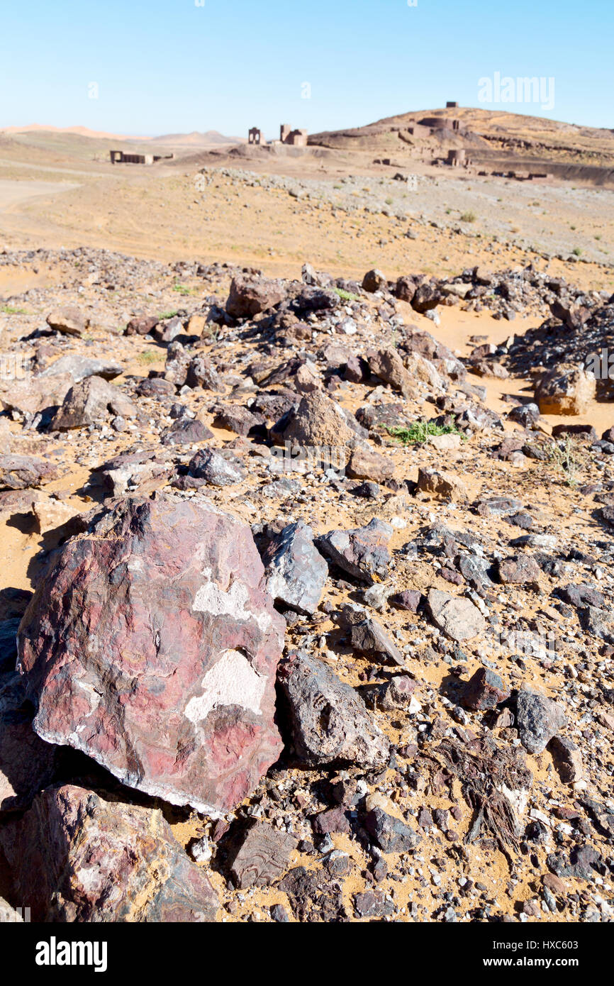 old fossil in the desert of morocco sahara and rock stone sky Stock ...