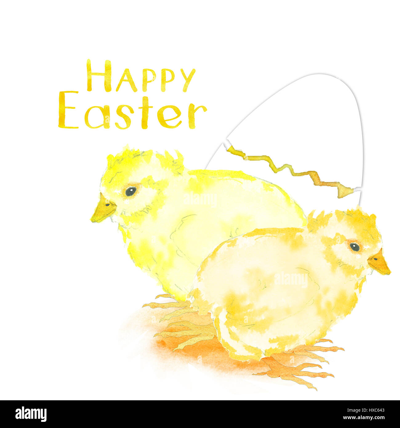watercolor Easter background of chickens and cracked egg Stock Photo ...