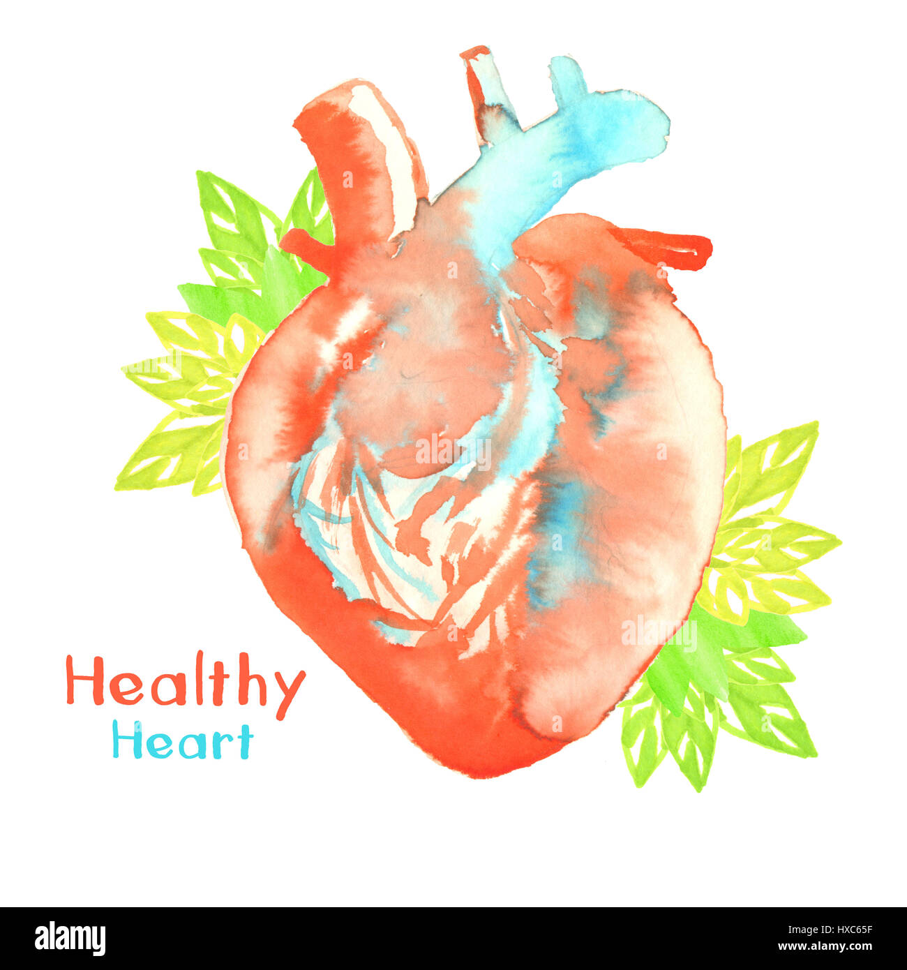watercolor illustration of healthy heart Stock Photo - Alamy