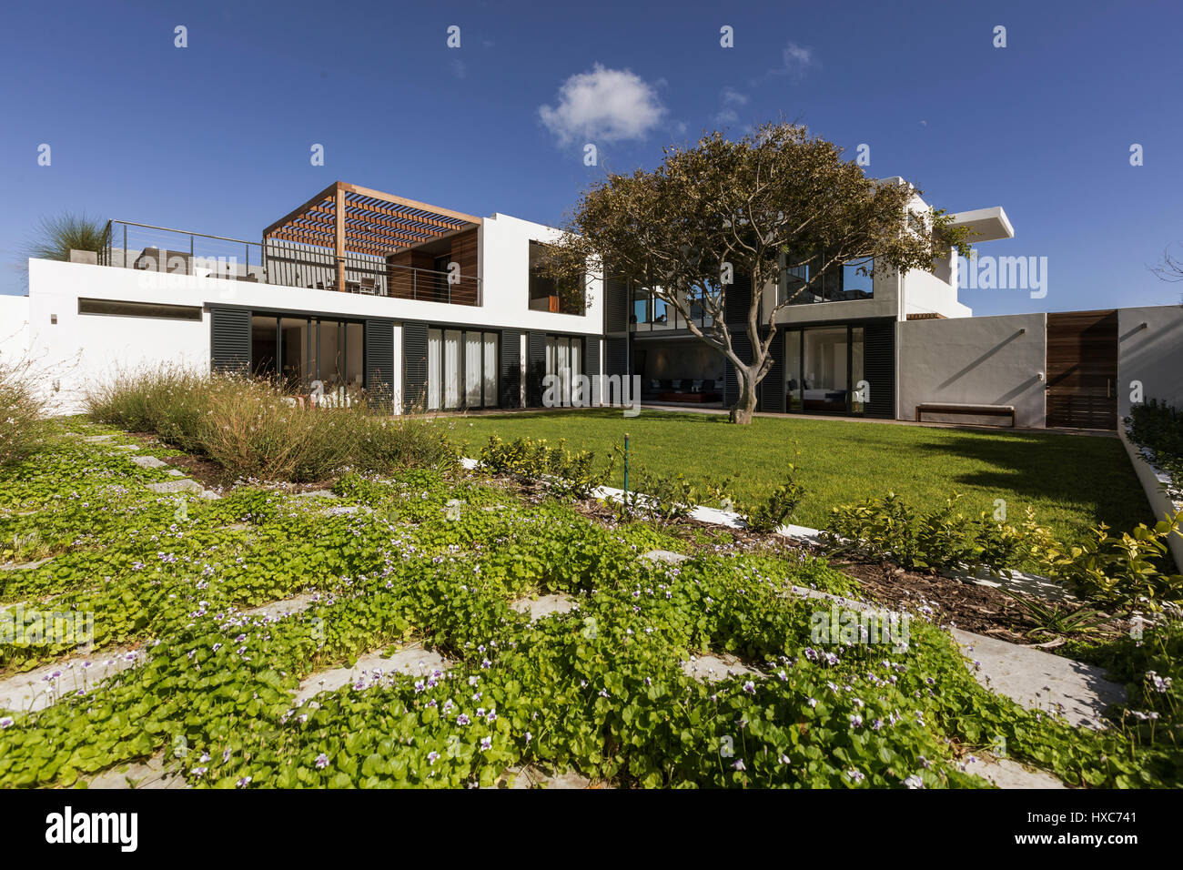 Sunny luxury modern home showcase exterior with sunny yard and tree ...