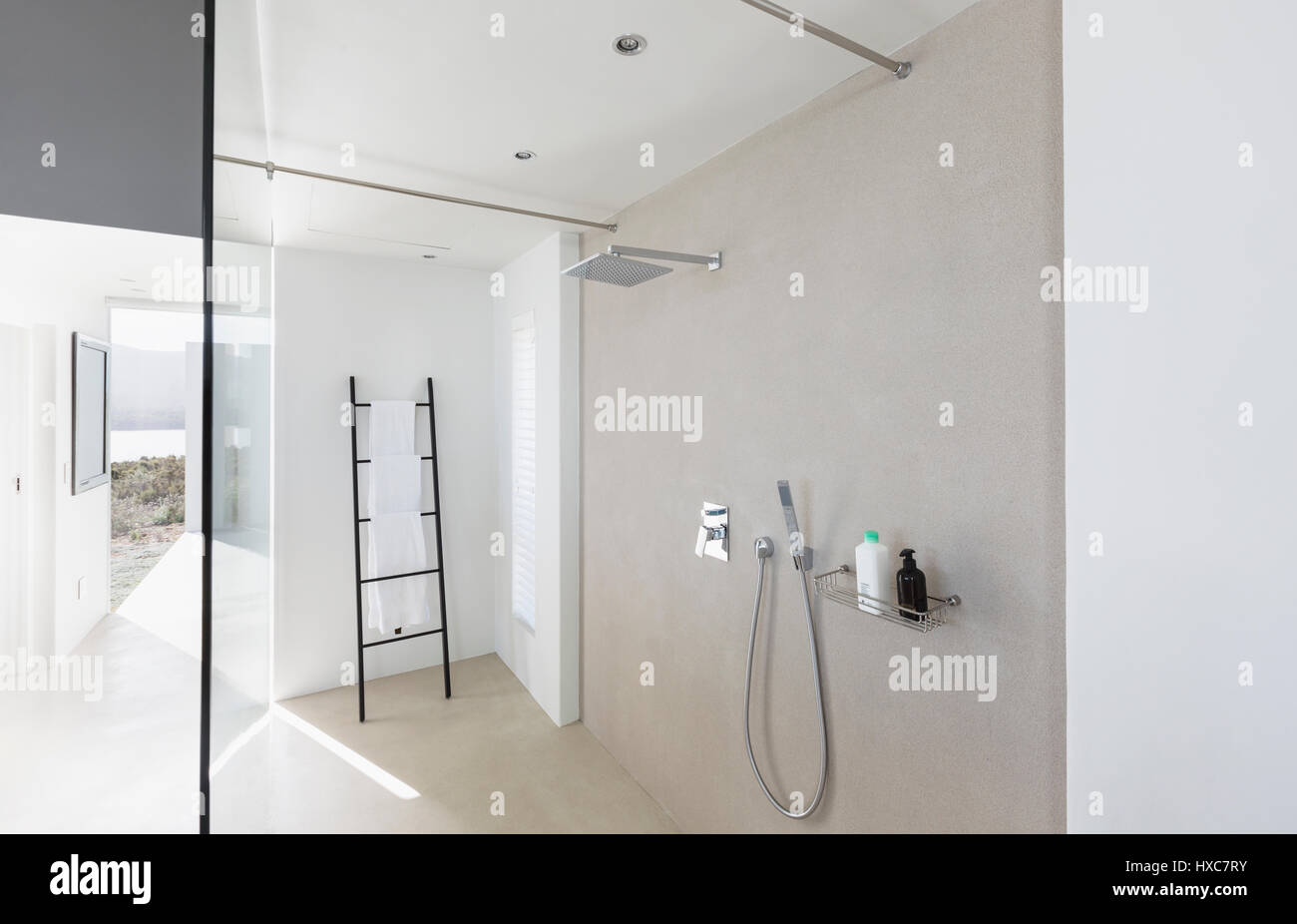 Modern Minimalist Luxury Home Showcase Interior Bathroom Shower Stock