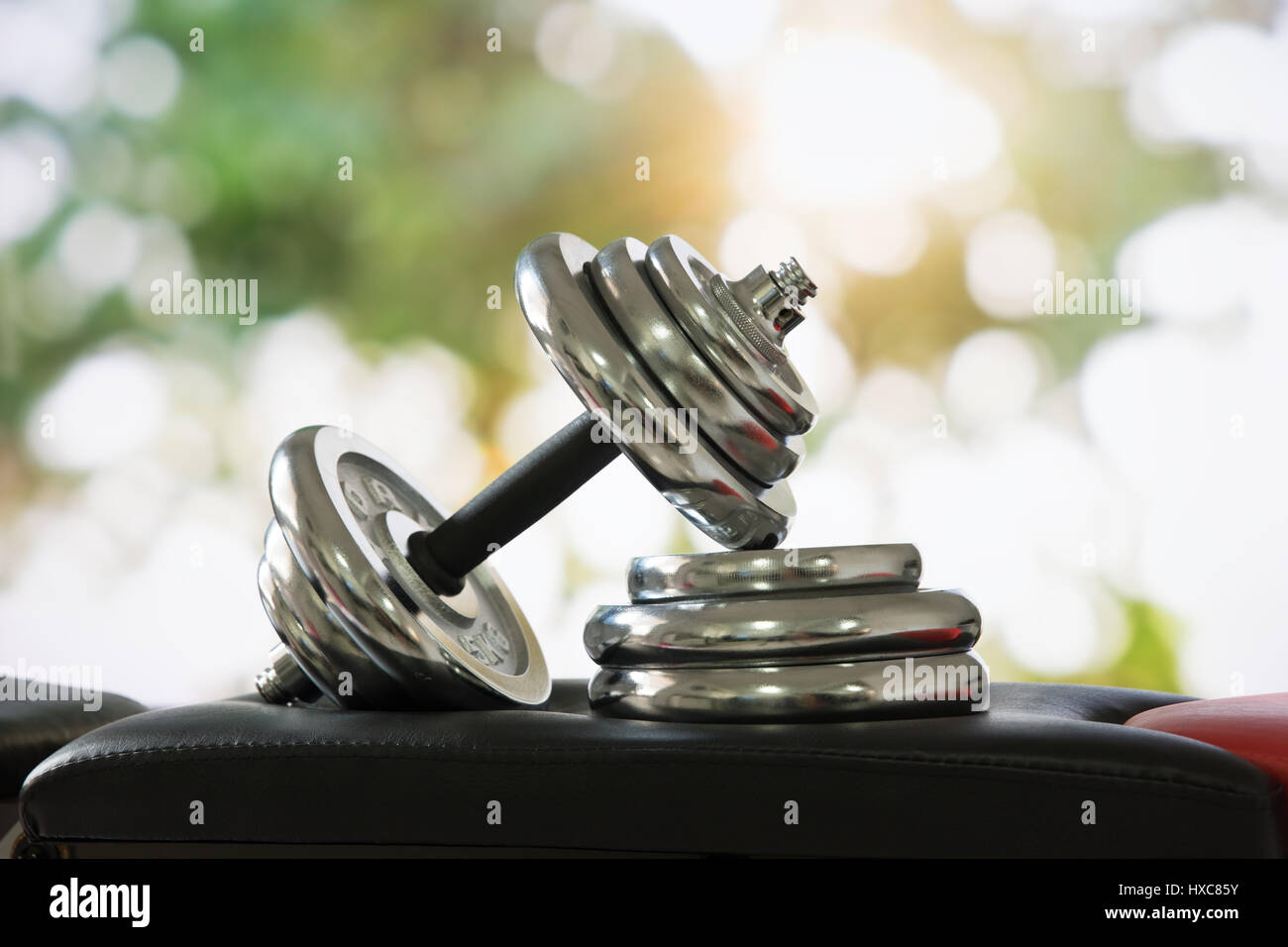 Dumbbell, weight training equipment Stock Photo - Alamy