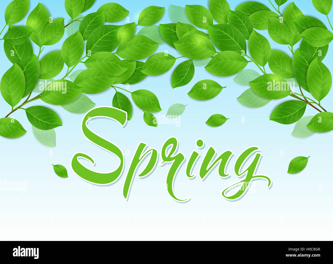 Spring background with green leaves and blue sky Stock Photo - Alamy