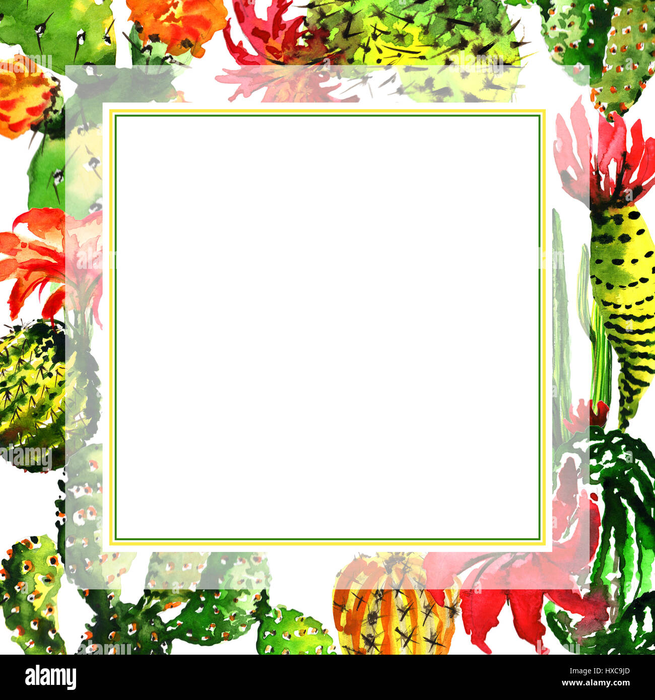 Tropical cactus tree frame in a watercolor style isolated Stock Photo ...