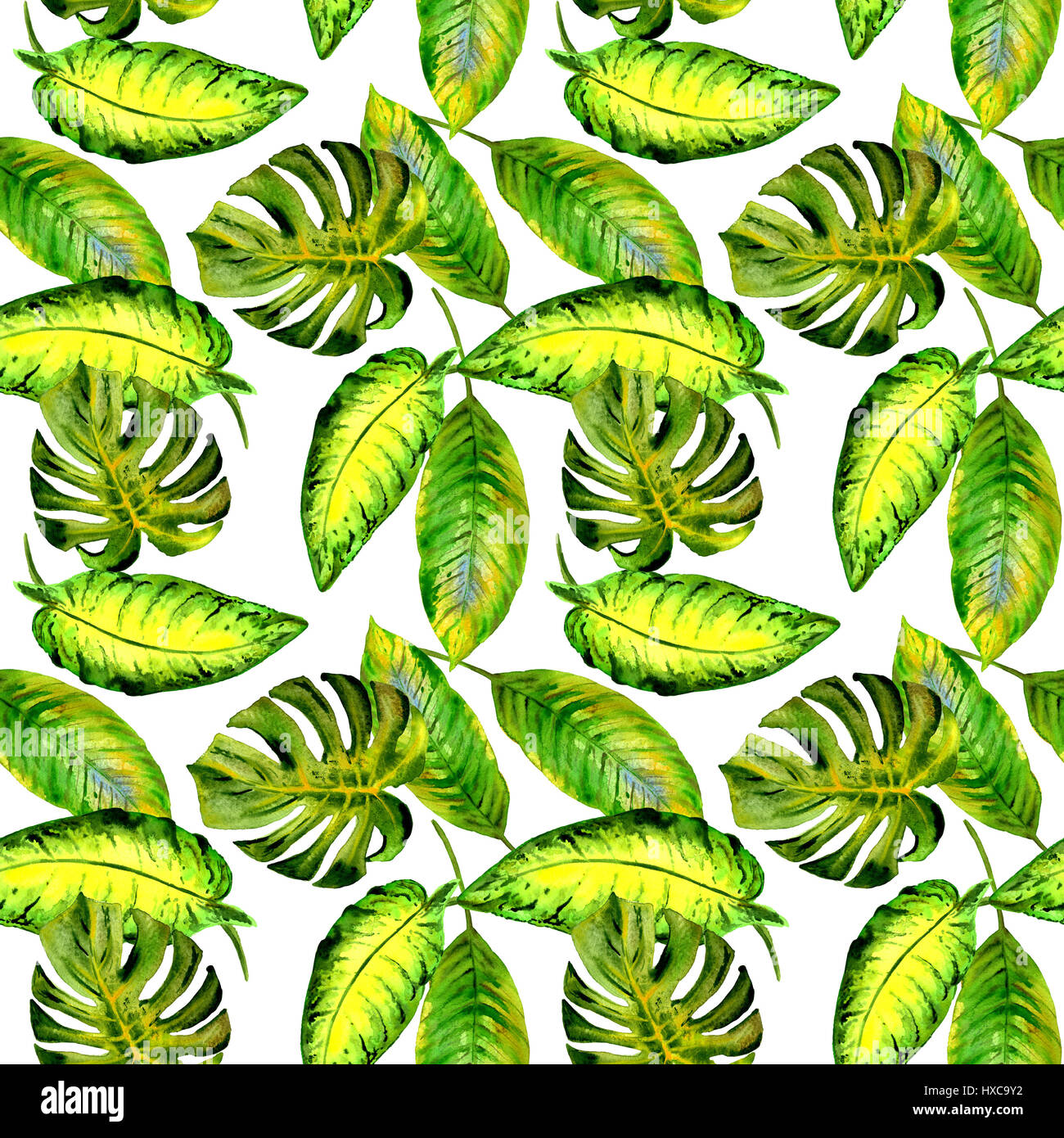 Tropical Hawaii leaves palm tree pattern in a watercolor style isolated ...