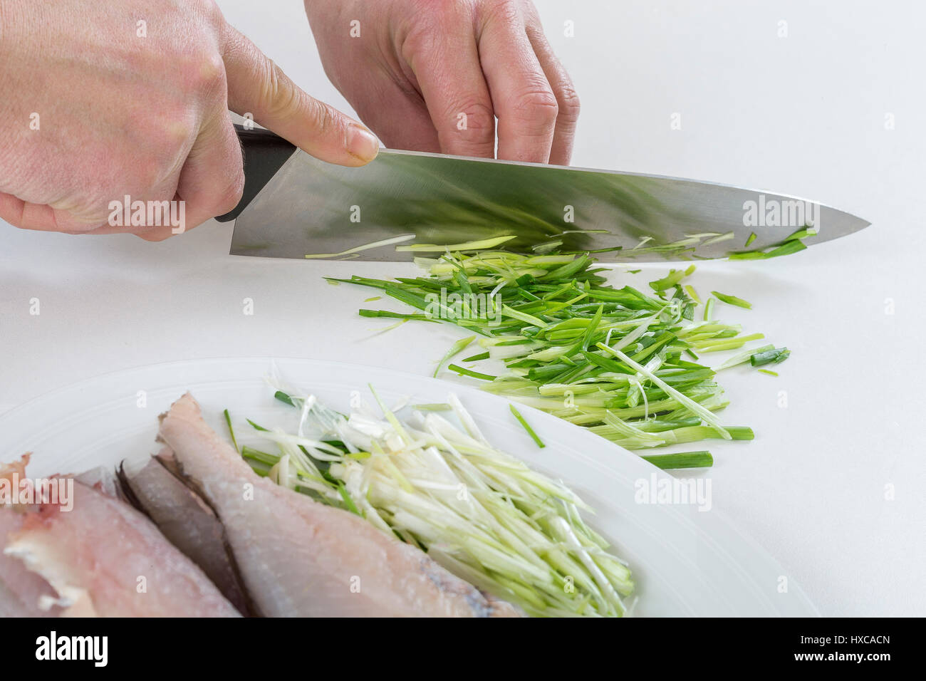 Merlan hi-res stock photography and images - Alamy