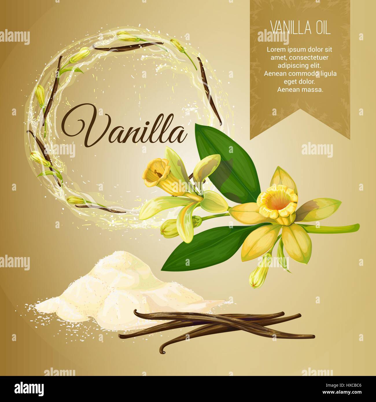 Vector set of objects on the theme of vanilla and its application ...