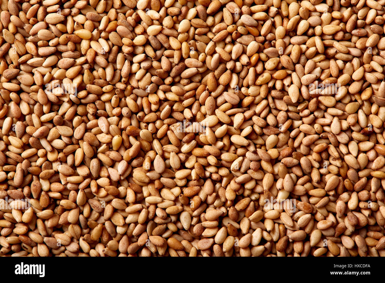 Sesame seeds texture macro detail background Stock Photo - Alamy