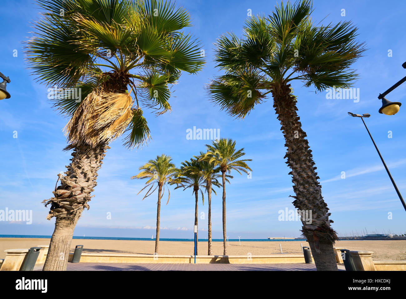 Valencia La Malvarrosa beach arenas palm trees in Spain Stock Photo - Alamy