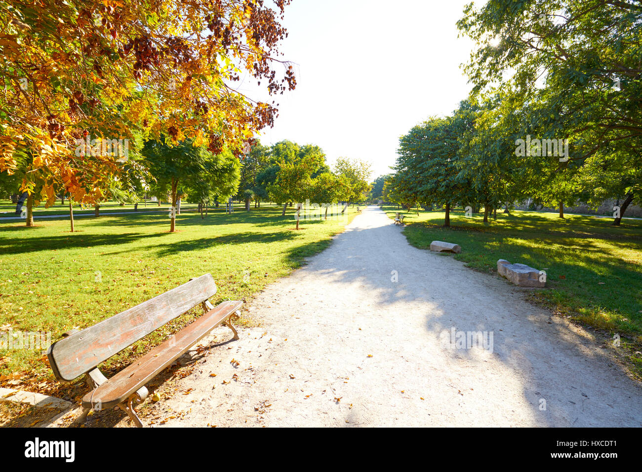 Valencia Turia park gardens view at Spain Stock Photo - Alamy
