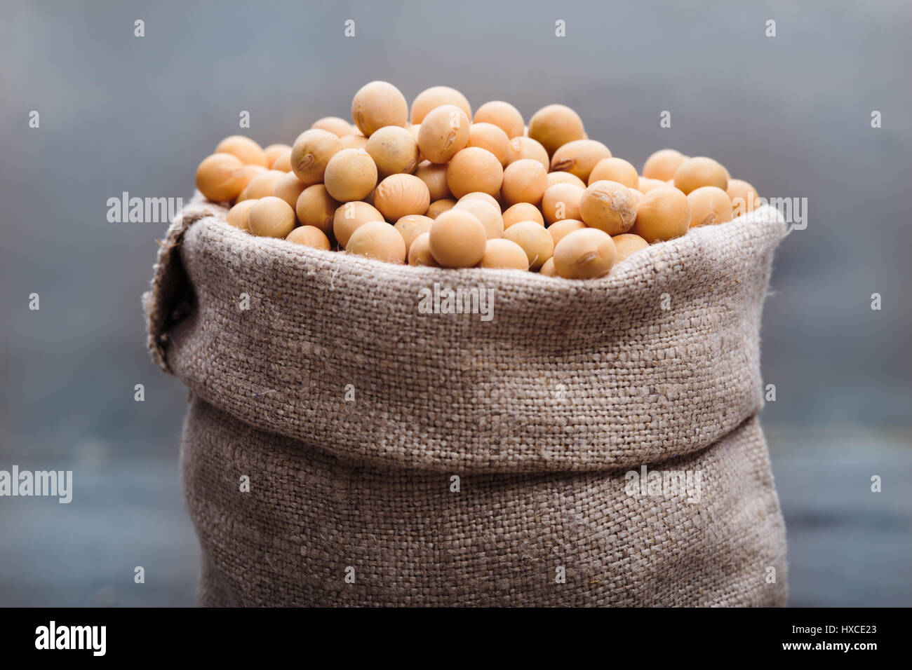 Soybean harvest asia hi-res stock photography and images - Alamy
