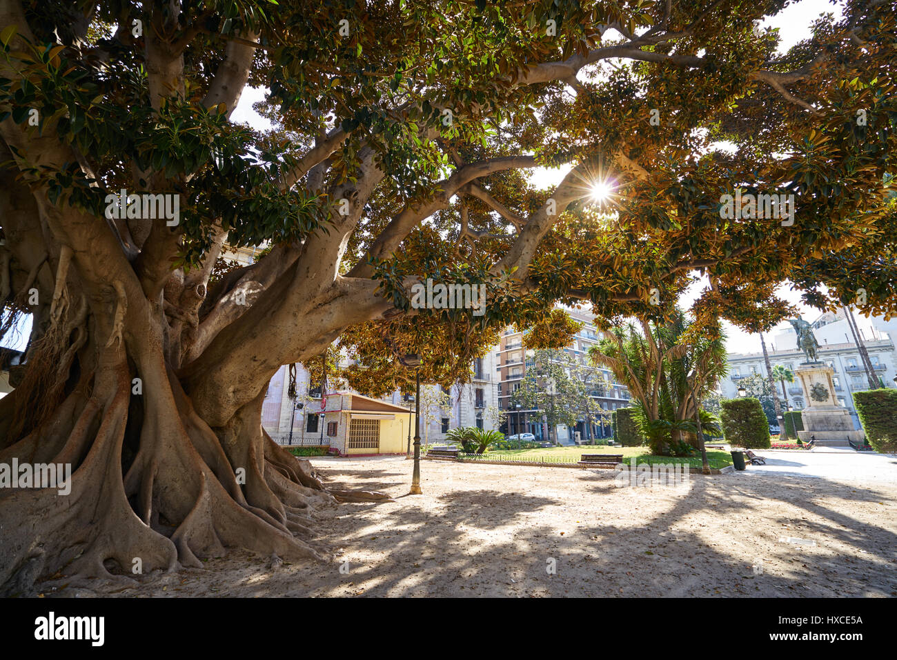 Valencia parterre park hi-res stock photography and images - Alamy