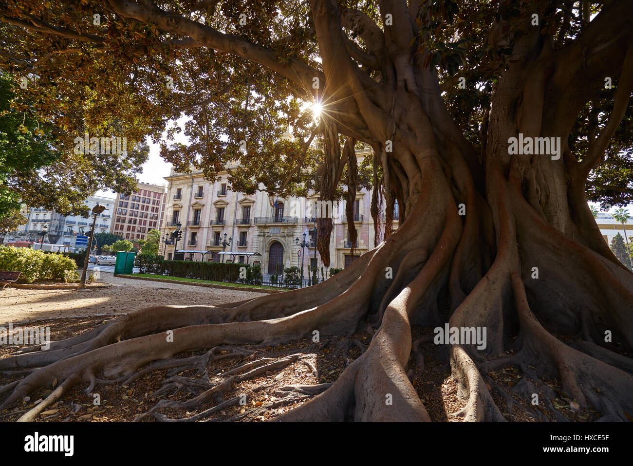 Valencia parterre park hi-res stock photography and images - Alamy