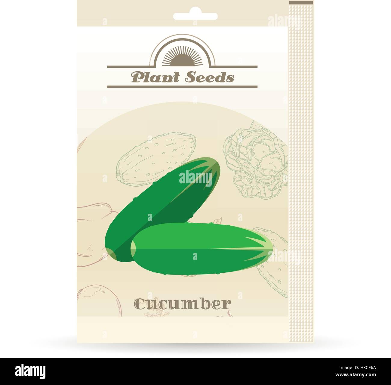 Cucumber vegetable seeds Stock Vector Images - Alamy