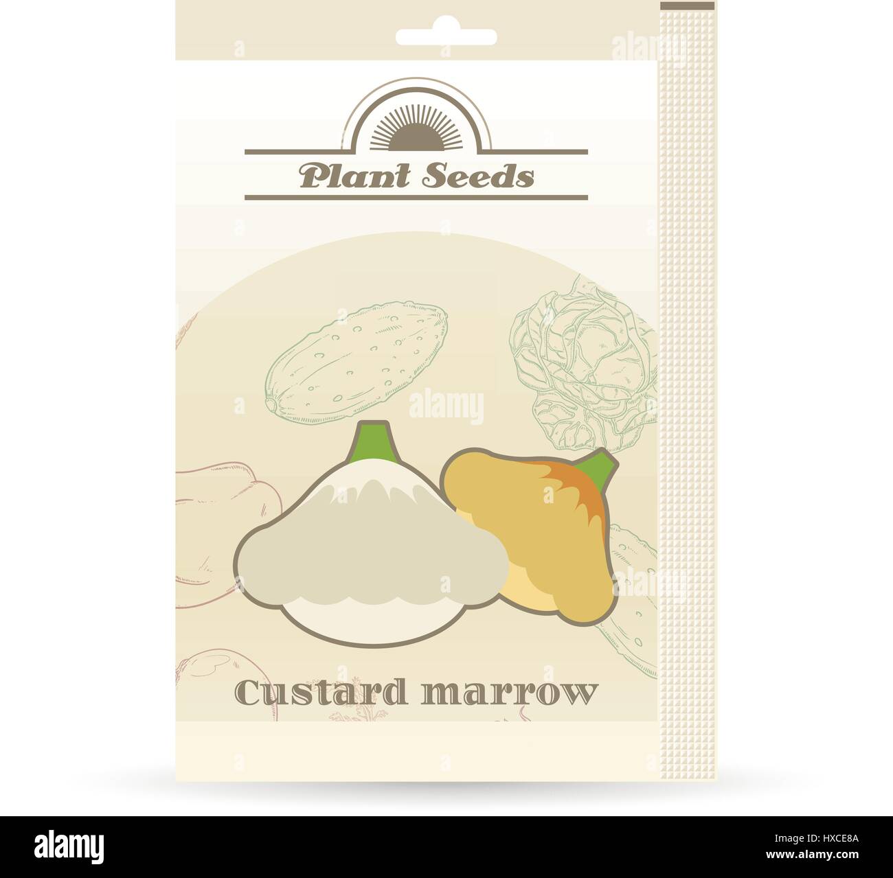 Pack of Custard marrow seeds Stock Vector Image & Art - Alamy