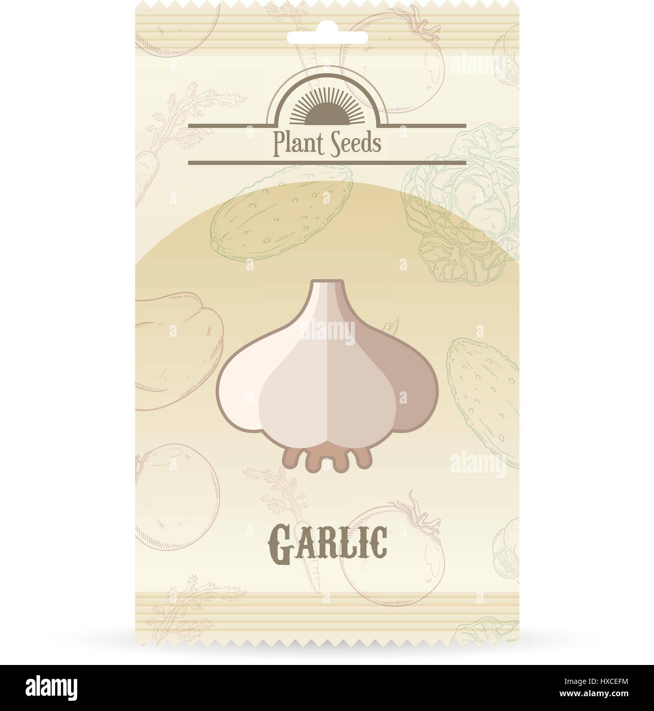 Seed garlic Stock Vector Images - Alamy