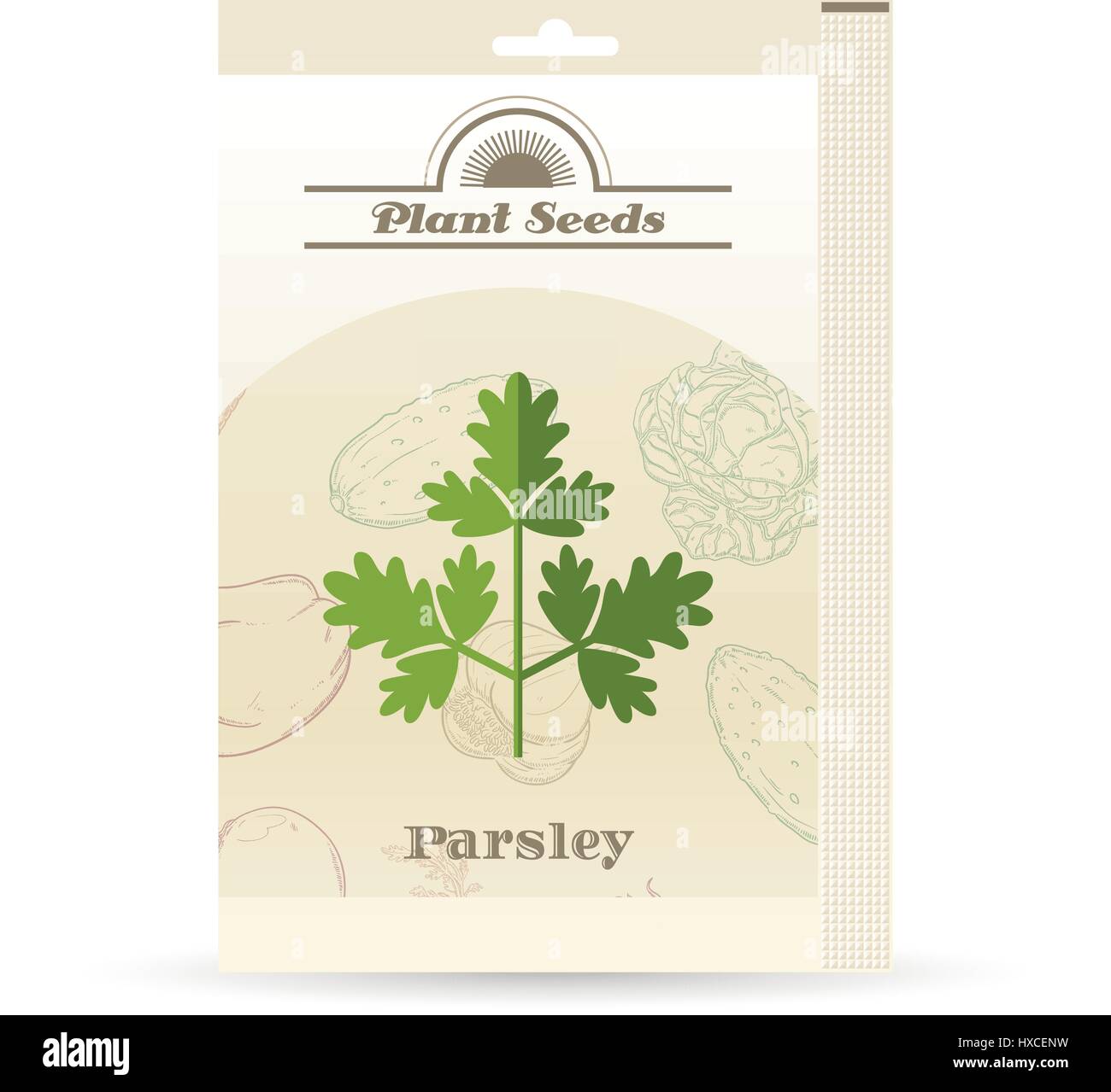 Parsley Stock Vector Images - Alamy