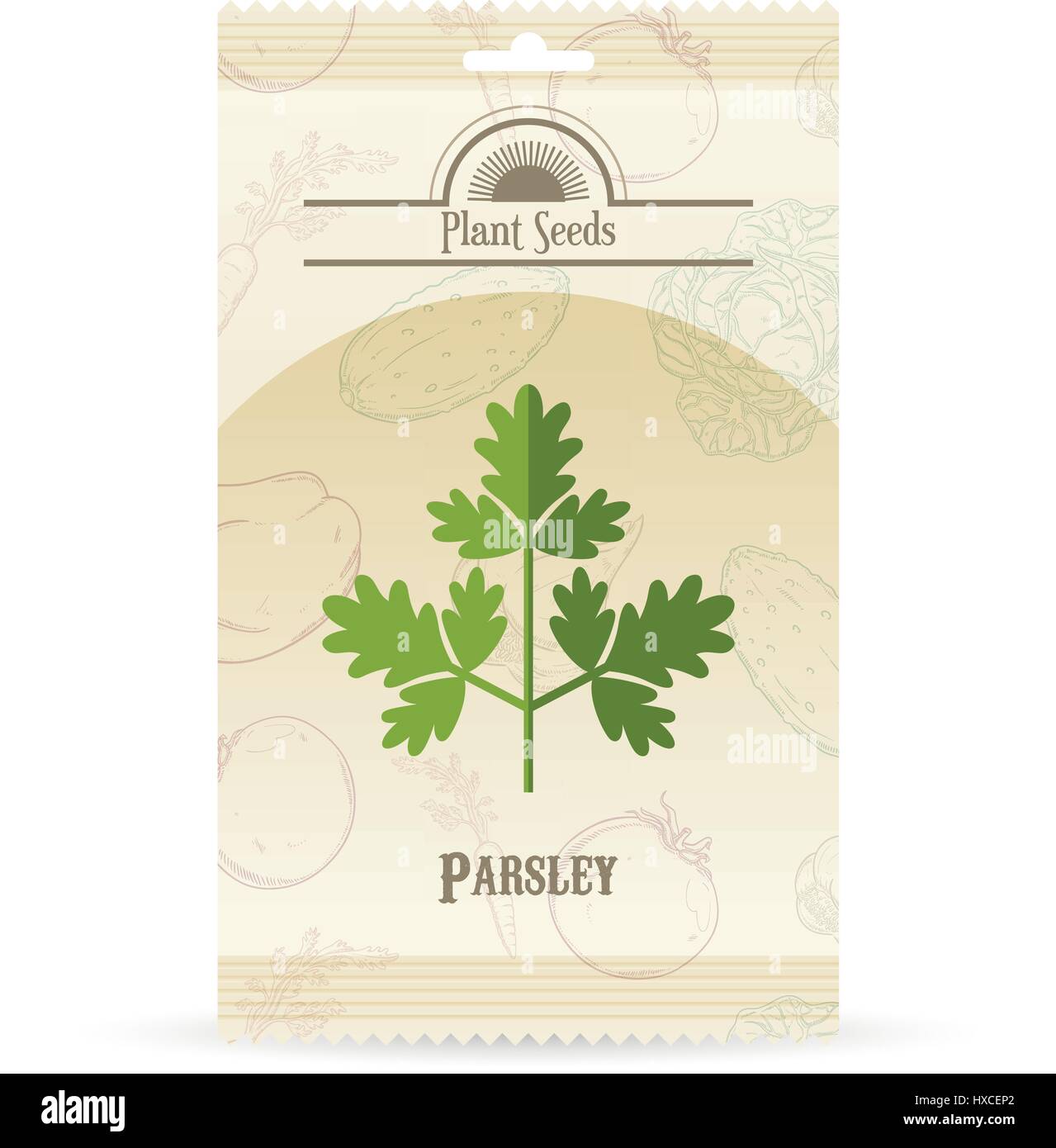 Fresh parsley isolated Stock Vector Images - Alamy