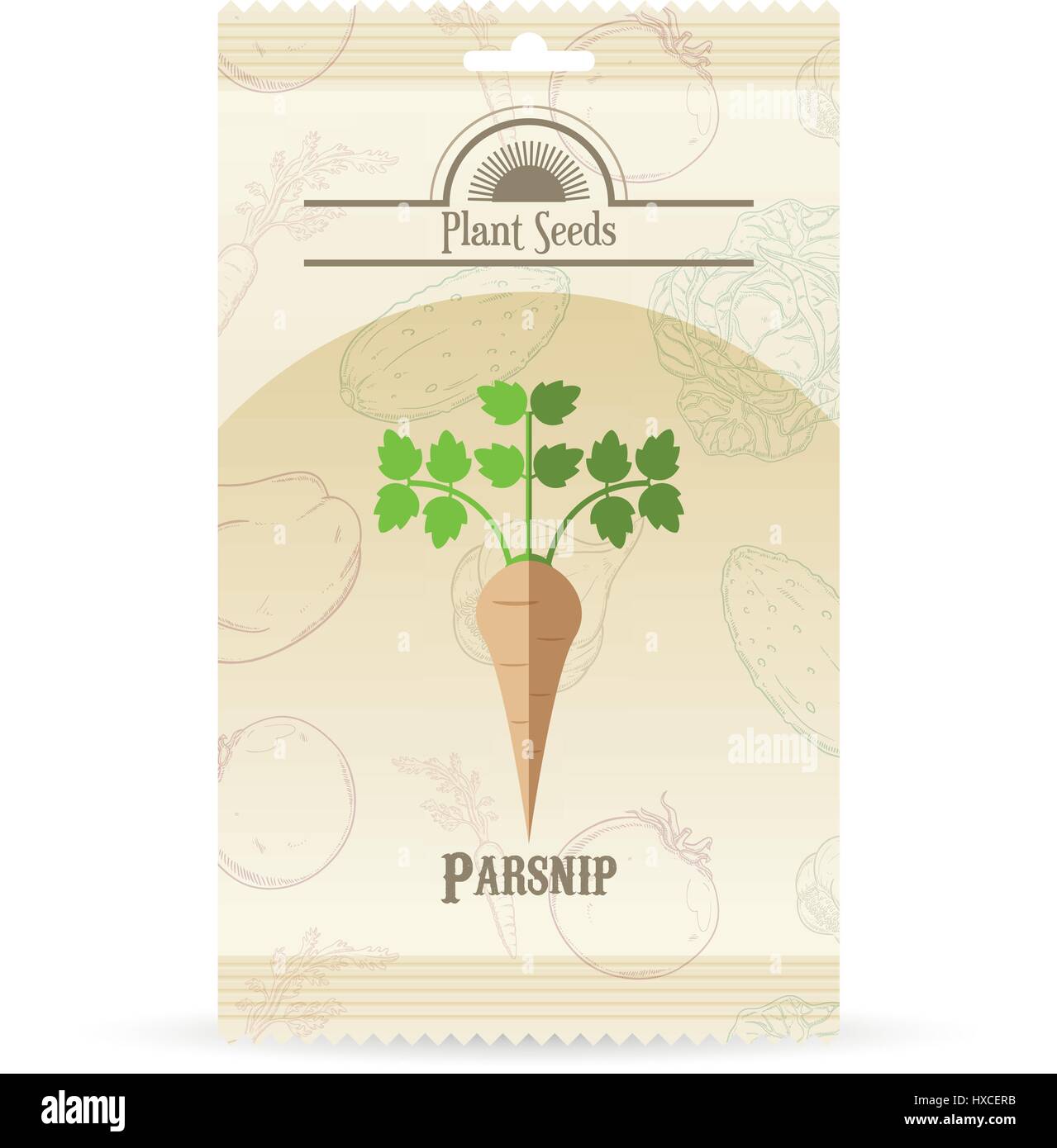 Parsnip illustration hi-res stock photography and images - Alamy