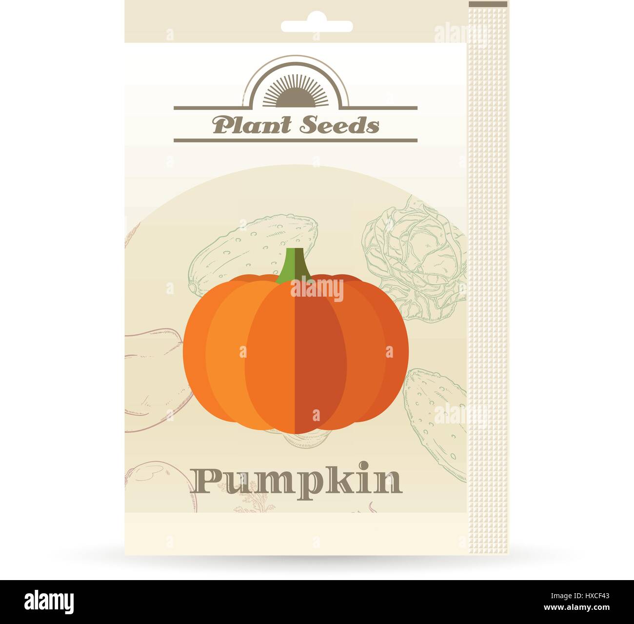 Pack of Pumpkin seeds Stock Vector Image & Art - Alamy