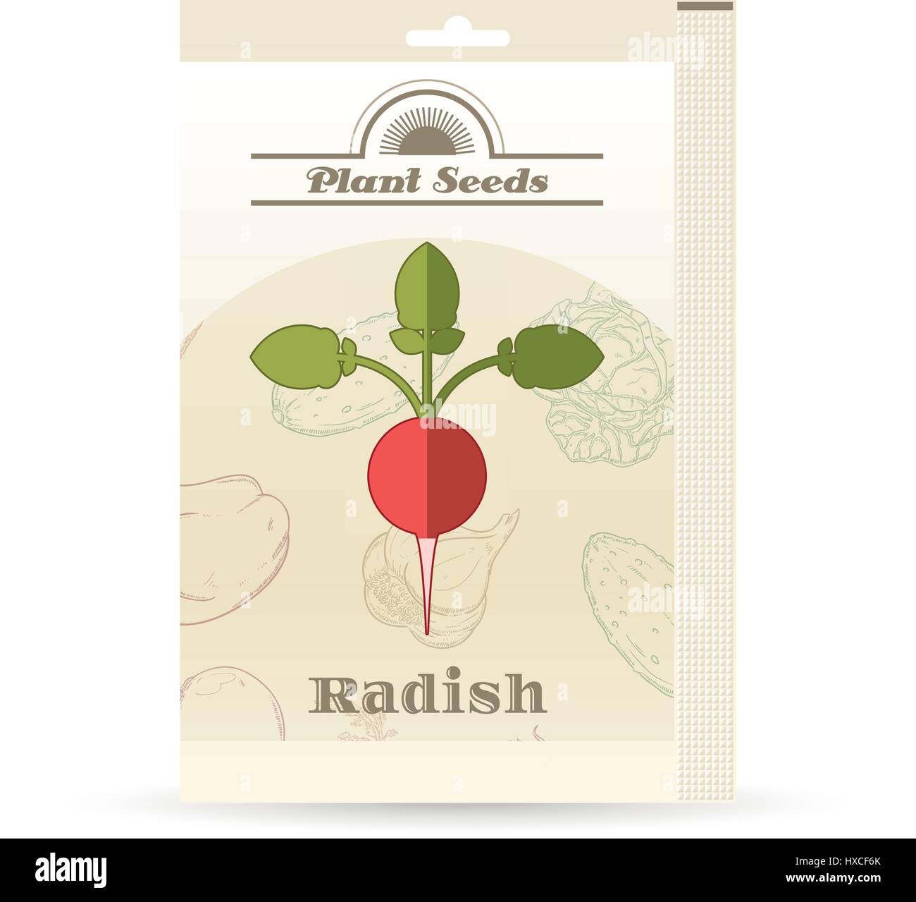 Seeds isolated Stock Vector Images - Alamy