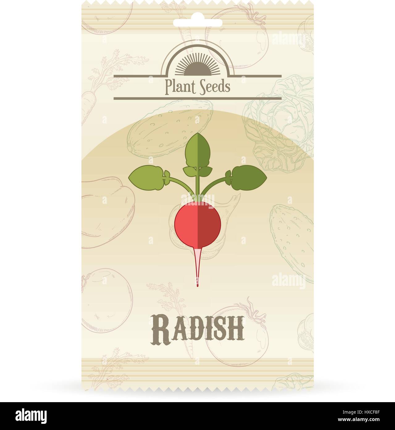 Sowing radish seed hi-res stock photography and images - Alamy